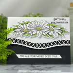 Black and White Daisy Edger with Deb Valder - Stampladee - Deb Valder ...