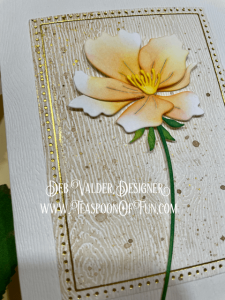 NEW Blooming Anemone with Deb Valder - Stampladee - Deb Valder - Paper Crafter Extraordinare