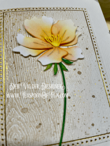 NEW Blooming Anemone with Deb Valder - Stampladee - Deb Valder - Paper Crafter Extraordinare